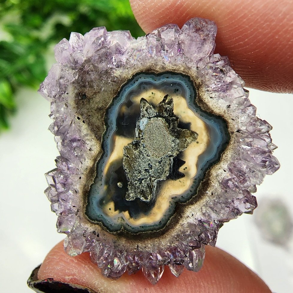 Amethyst Slice | Uruguay | SiO2 | Collector Grade Amethyst Slice ...