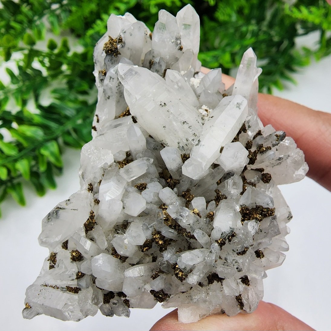 Pyrite & Galena on Quartz | Peru | SiO2 | Collector Grade Quartz ...