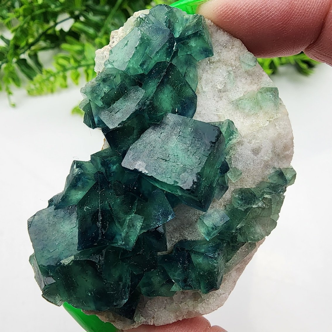 Green Fluorite | Madagascar | CaF2 | Green Fluorite Specimen - Virgo Gems