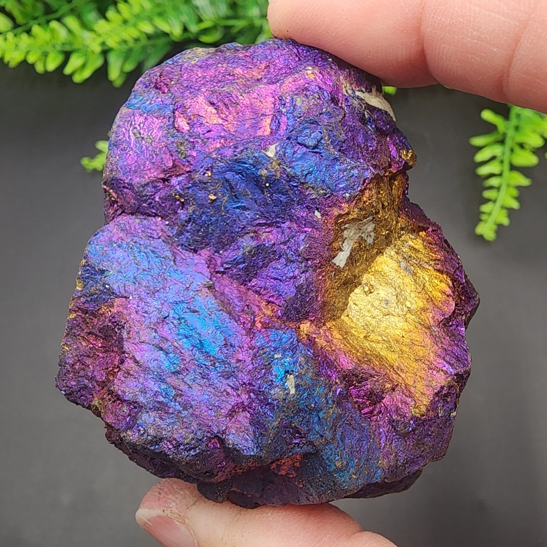 Chalcopyrite "Peacock Ore" | Mexico | Cu5FeS4 | Peacock Ore Specimen ...
