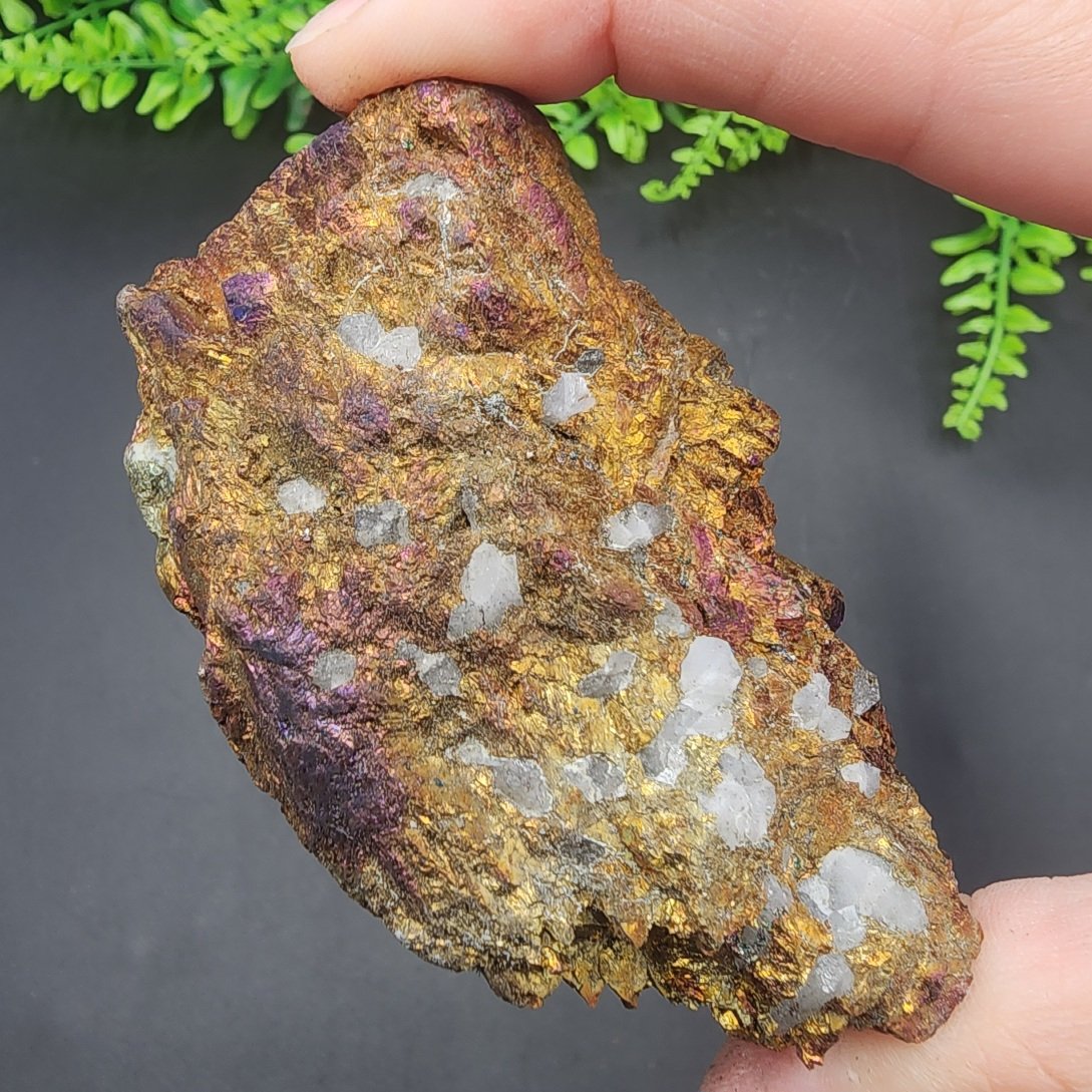 Chalcopyrite "Peacock Ore" | Mexico | Cu5FeS4 | Peacock Ore Specimen ...