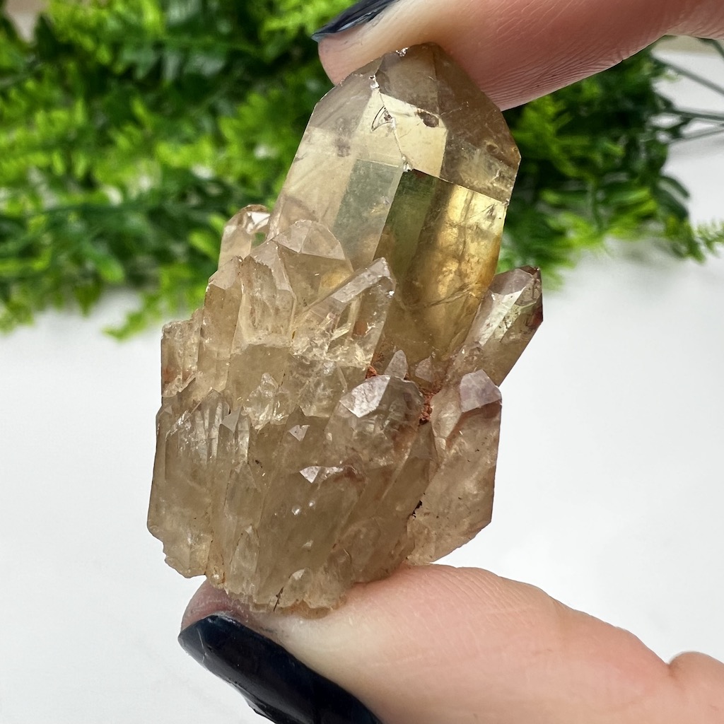 Citrine | Congo | SiO2 | Citrine Cluster Specimen - Virgo Gems