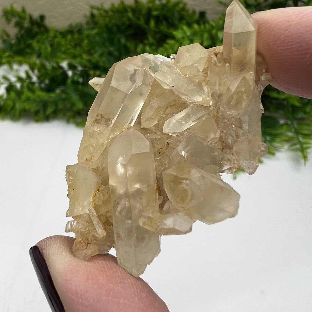 Citrine | Romania | SiO2 | Citrine Cluster Specimen - Virgo Gems