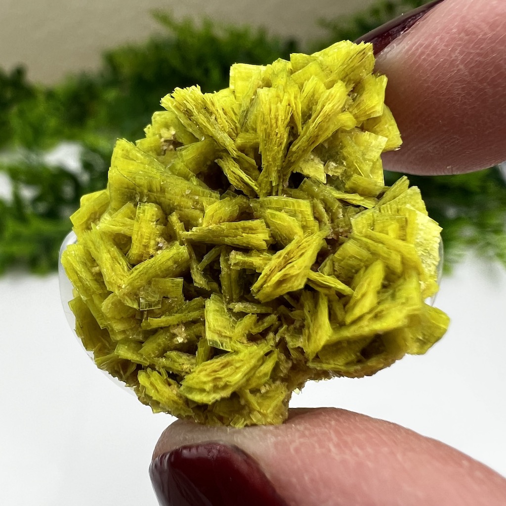 Meta Autunite | Washington | Ca(UO²)2(PO⁴)² · 6H²O | UV Reactive Meta ...