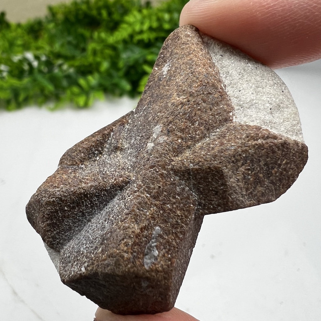 Staurolite | Pestsovye Keivy, Russia | Fe2+2Al9O6(SiO4)4(O,OH)2 ...