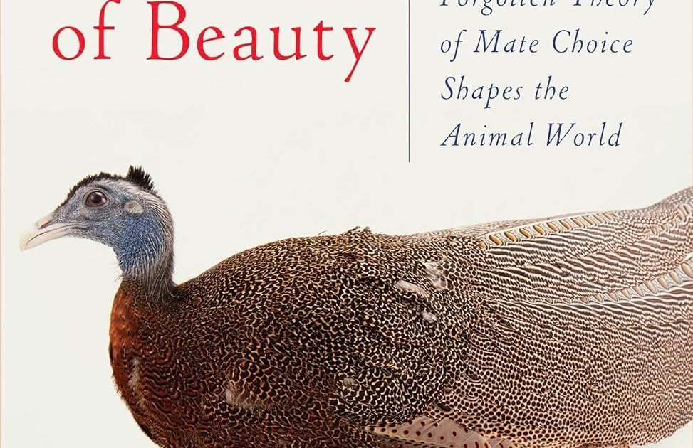 The Evolution of Beauty: How Darwin's Forgotten Theory of Mate Choice ...