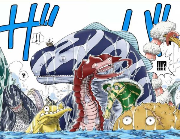 A Guide To One Piece World: Exploring the Grand Line