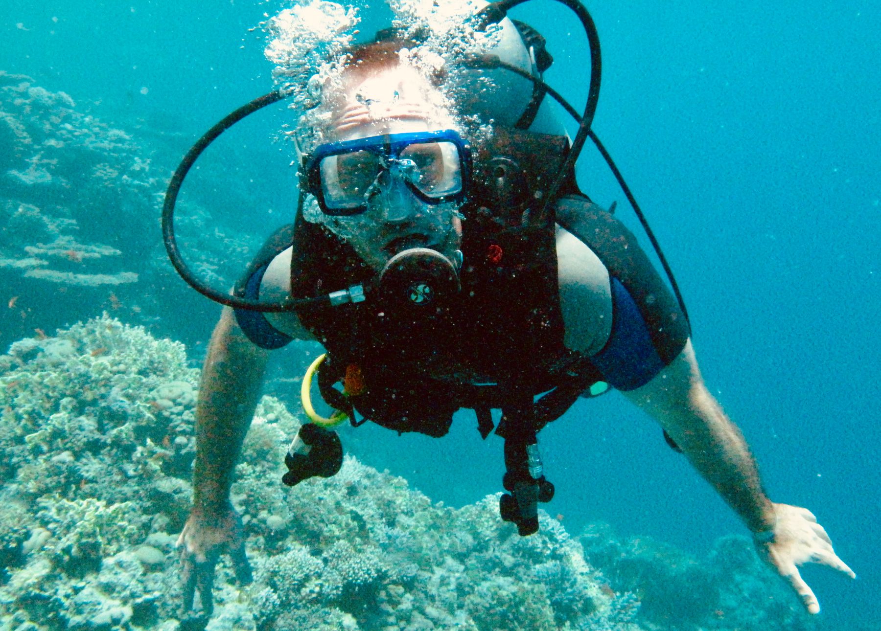 LSD (Let's Scuba Dive!) | Ryan Covington
